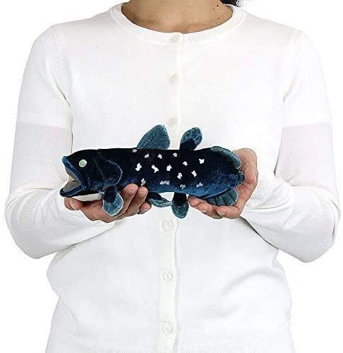 Colorata Coelacanth Plush Ancient Fish Small Size 4.3 X 4.1 Inches (11 ...