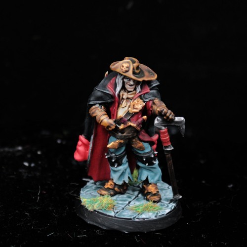 Dungeons & Dragon Painted Rogue Witch Hunter Knight Figure 28mm Hero ...