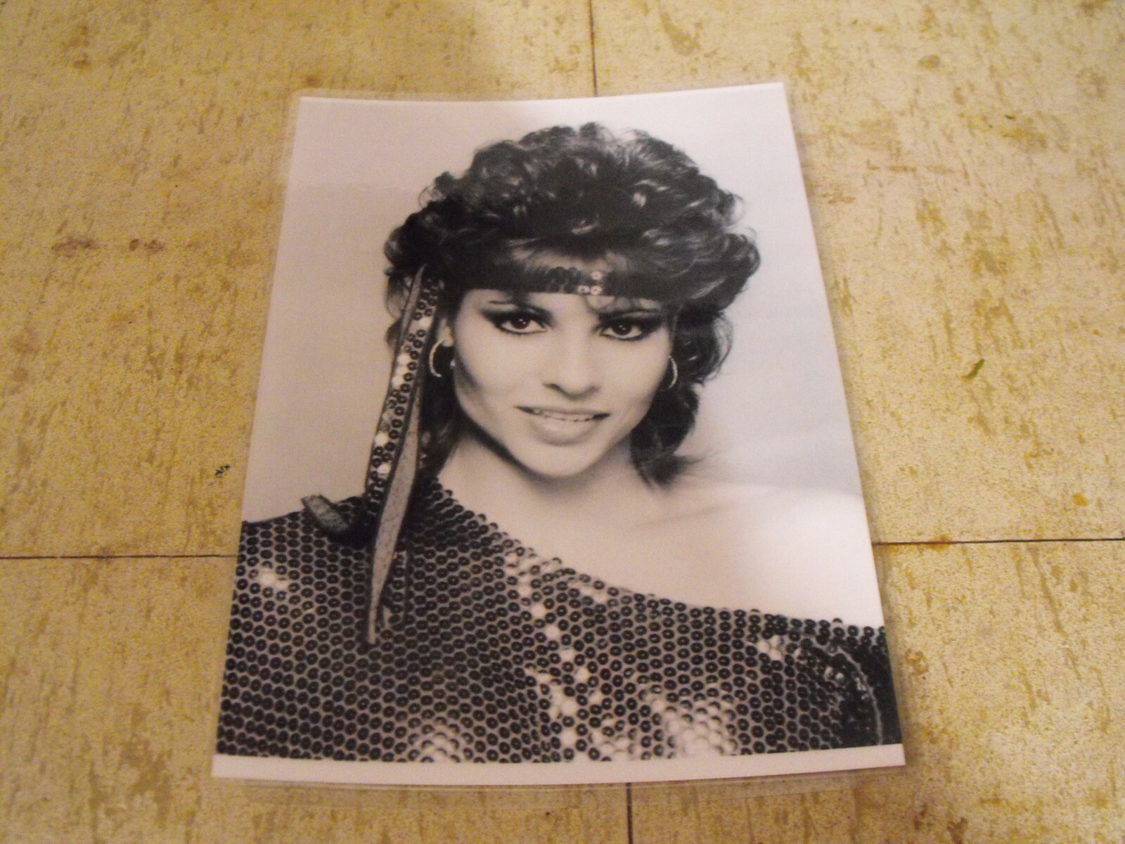 SOLID GOLD DANCERS: Beautiful Laminated Photo of SGD Pam Rossi | eBay