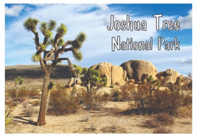 Joshua Tree National Park, CA, California, 2" x 3" Travel Fridge Magnet ...