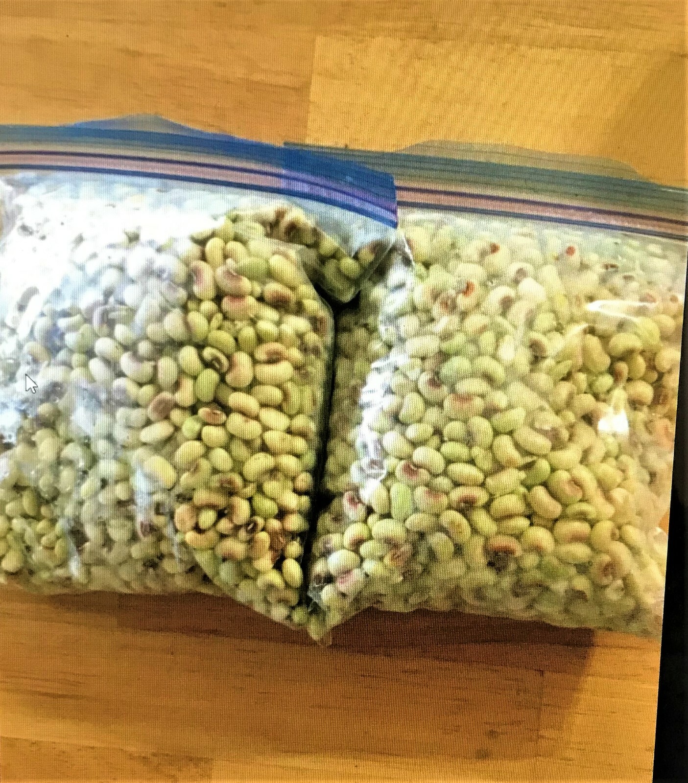 500+~4oz TOP PICK Pinkeye Purple Hull Peas Seed Southern Cowpea ...