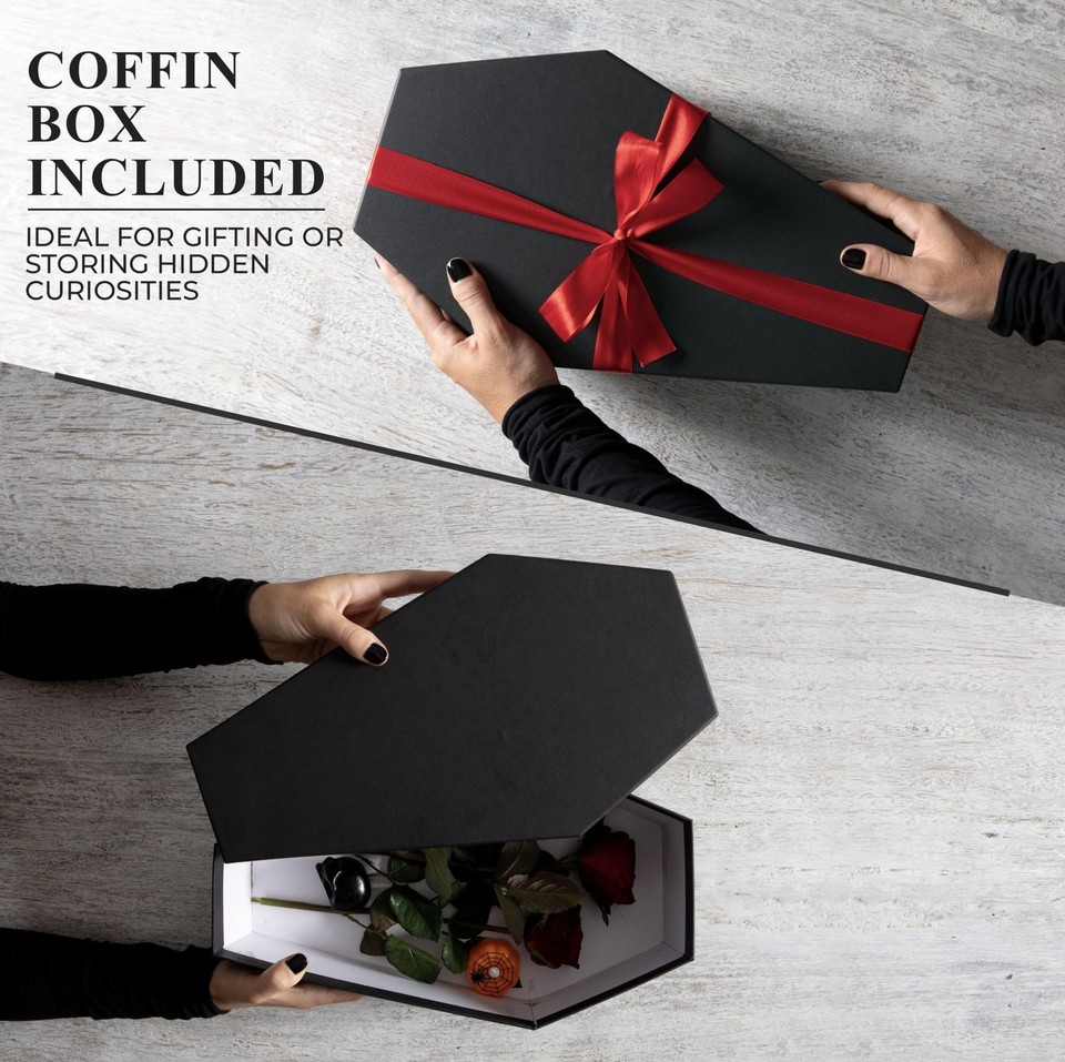Coffin Shelf and Coffin Gift Box with Spooky Accessories Set - Small ...