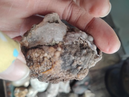 Botryoidal Chalcedony Rough Minerals For Specimen Or Cabbing Oregon | eBay