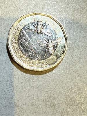 2025 King Charles III 1£ Bee Coin Ultra Rare | eBay UK
