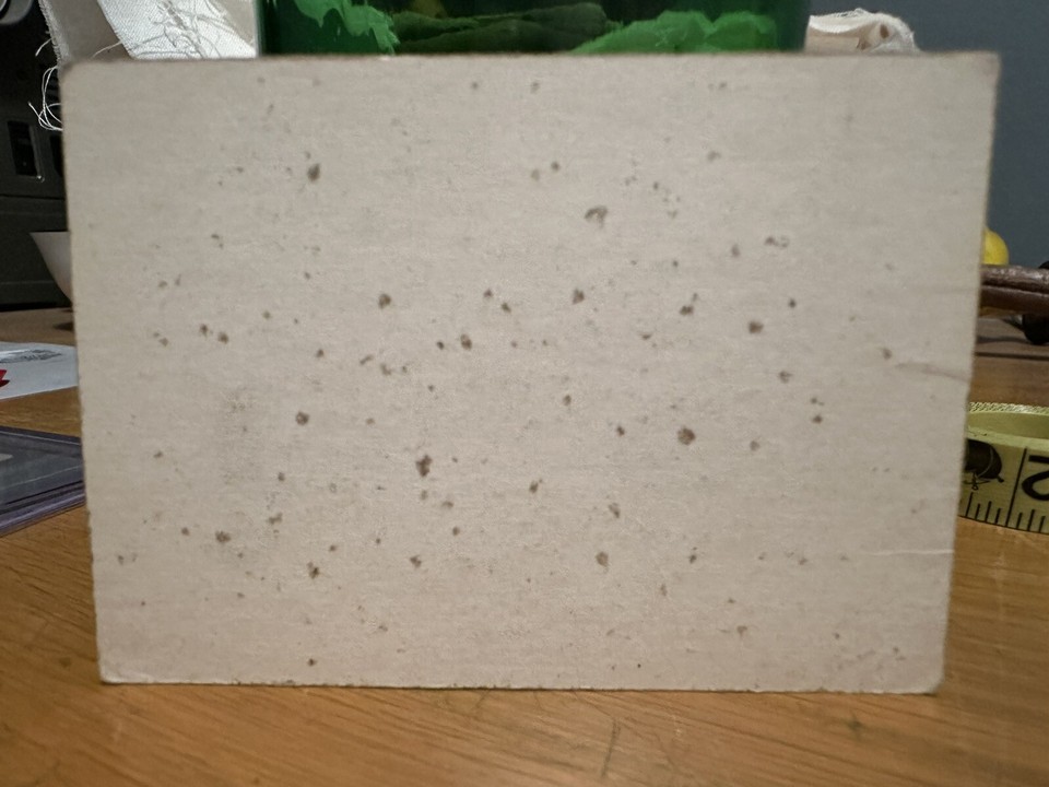 1954 Stark & Wetzel Indianapolis 500 Winners HOWDY WILCOX Card Indy | eBay