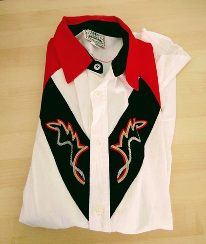 Vtg Show Shirt by Authentic 1849 RanchWear Country Western embroidered ...