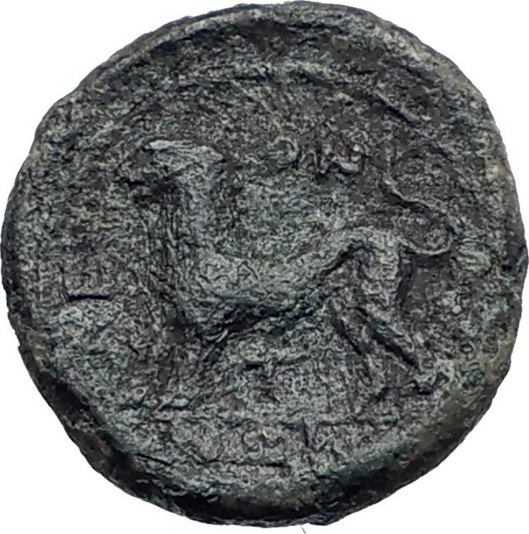 LEONTINI in SICILY 2ndCenBC Apollo Lion Authentic Ancient Greek Coin ...