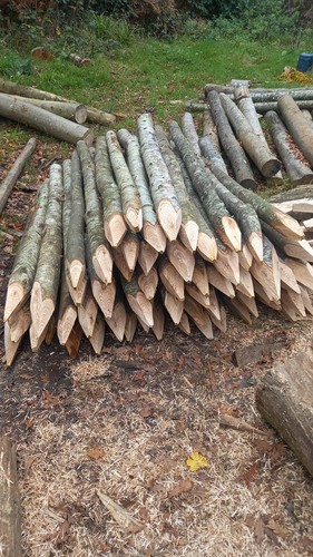 Chestnut Fence Posts And Stakes | eBay UK