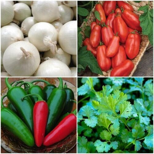 Easy-Gro Pico de Gallo Garden Seed Kit Over 100 Seeds! Grow and save ...