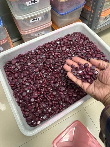 Half kilo ruby loose gemstone lot custom order | eBay