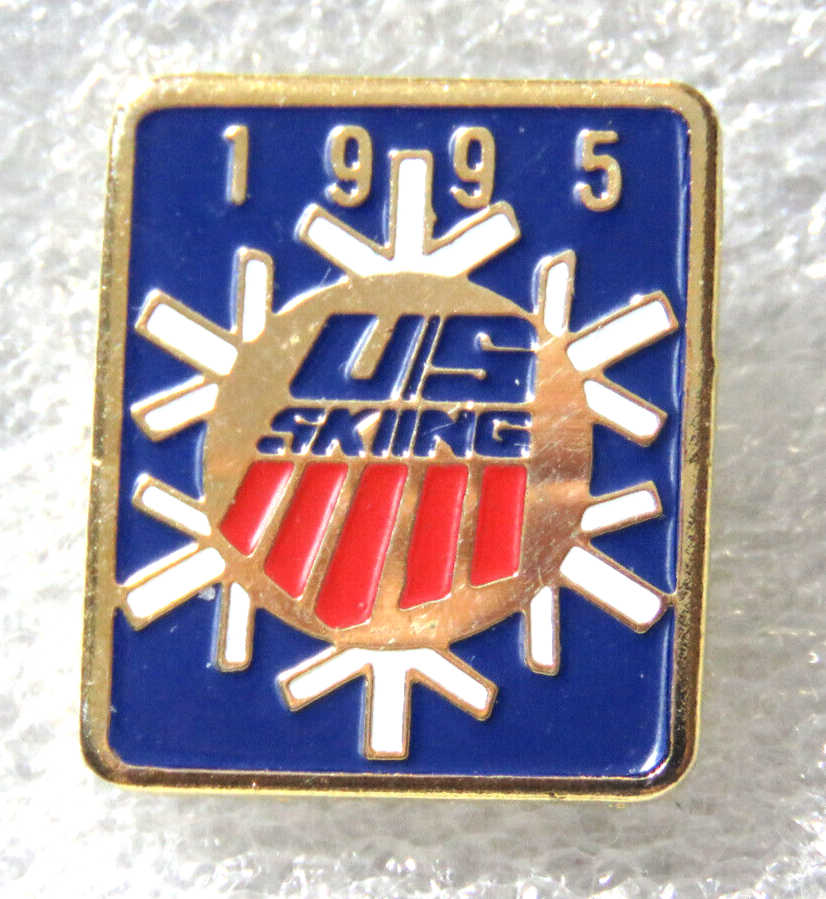 US Ski Team 1991 Ski Pin | eBay