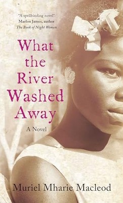 What the River Washed Away, Macleod, Muriel Mharie 9781780742342| eBay