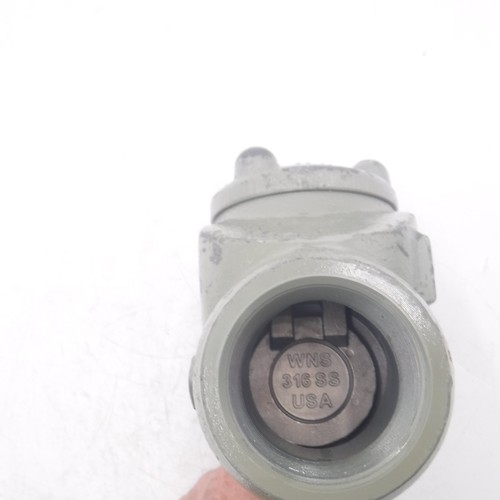 WNS 1125705 2" Threaded End Swing Check Valve NACE MR0175 2000 PSI | eBay