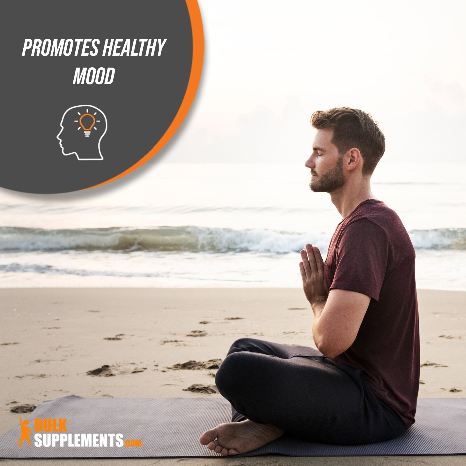 Bulksupplements Phosphatidylserine Powder - Improve Memory & Focus | eBay