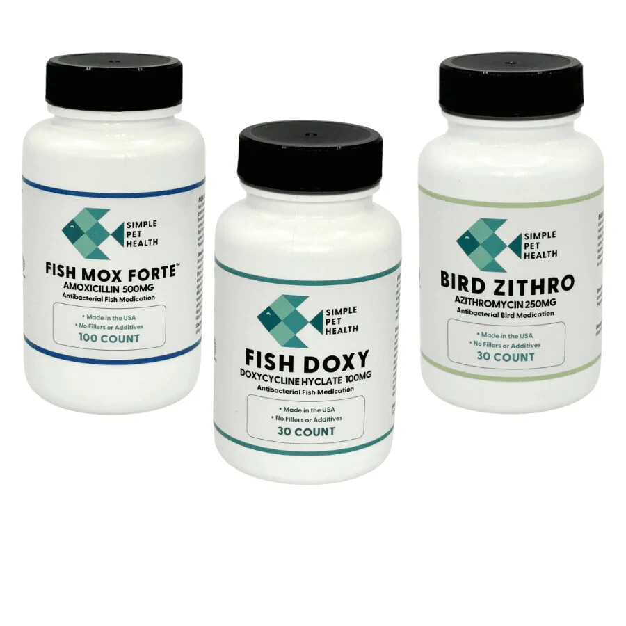 FOR FISH Aquariums & FISH Tanks Fix AMoxil 500mg/100 CT Made in USA, US ...