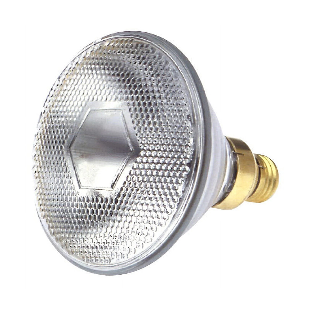 Sylvania 13922 PAR38 Medium Base 150W 130V Halogen Incandescent Flood ...