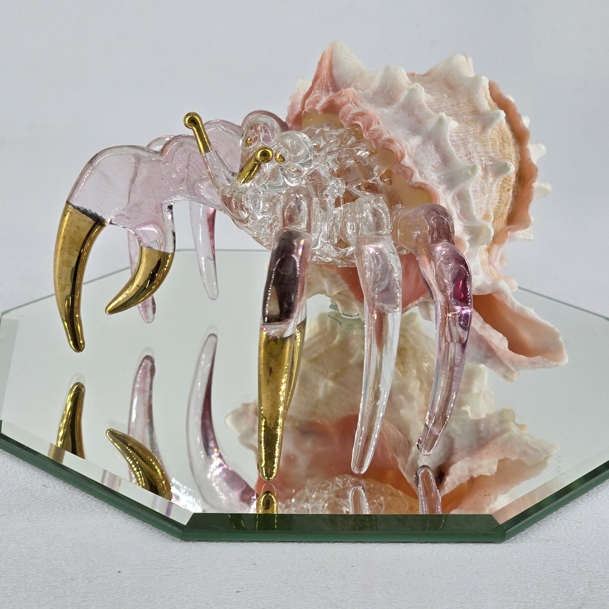 Hermit Crab Clear Shell