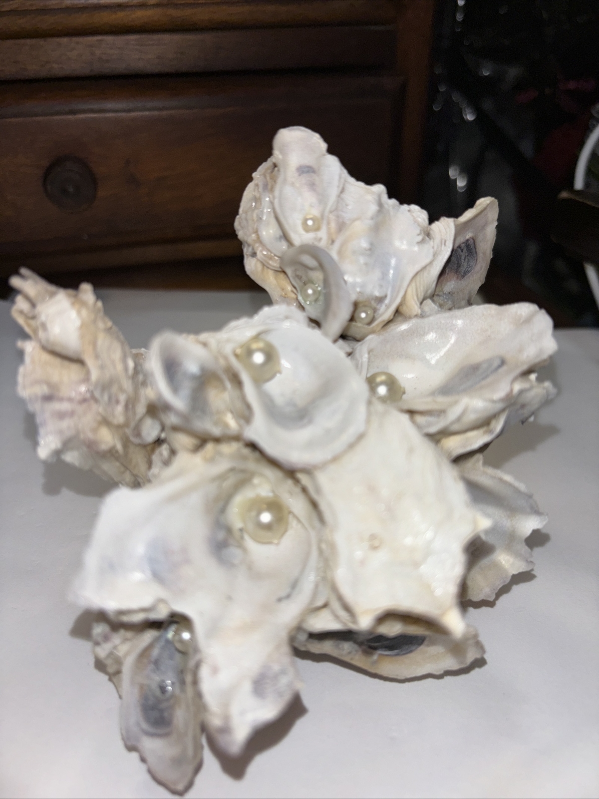 Oyster and Barnacle Shell Cluster Sculpture RARE - Unique Beach Decor w ...