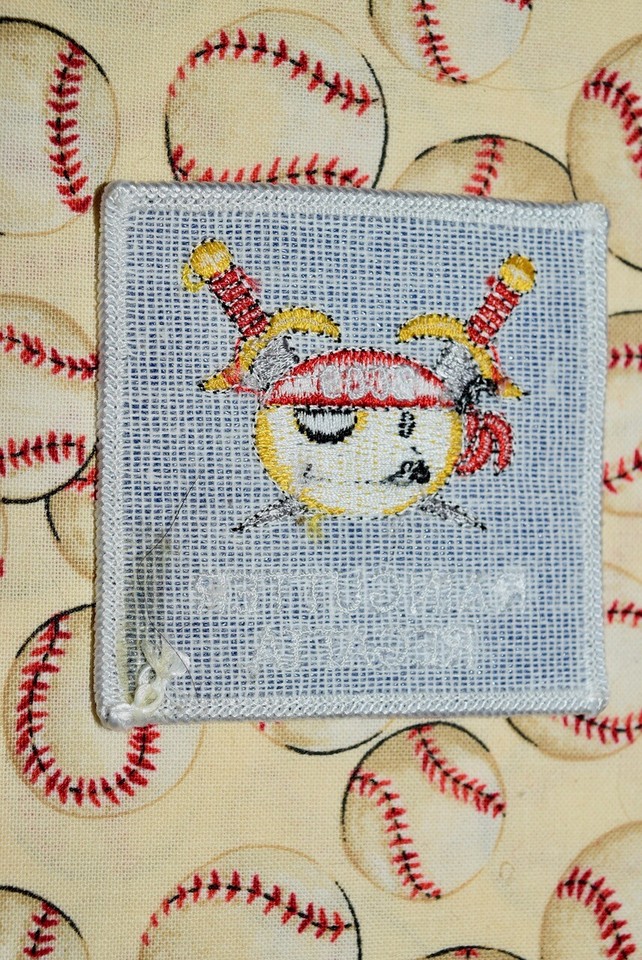 Raingutter Regatta 2009 Embroidered Patch BSA Cub Boy Scouts of America ...