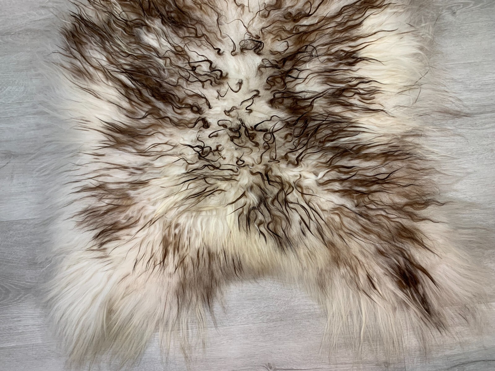 Icelandic Curly Mouflon Brown Pelt Throw Blanket Hide Genuine Sheepskin ...