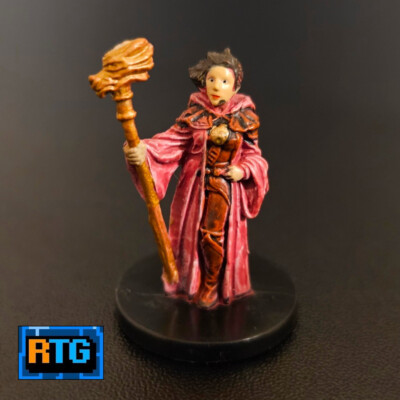 D&D Miniature - Golden Wyvern Initiate #46 - Dungeons and Dragons - RPG ...