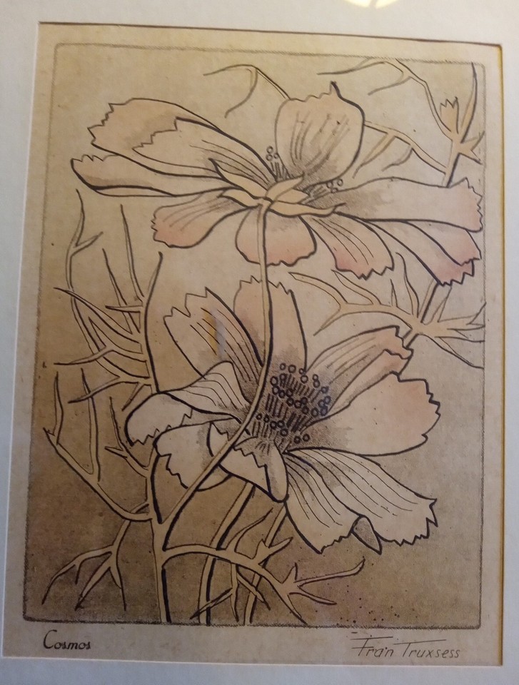 Vintage Fran Truxsess Prism Prints Matted & Framed COSMOS Prints Pair 9 ...