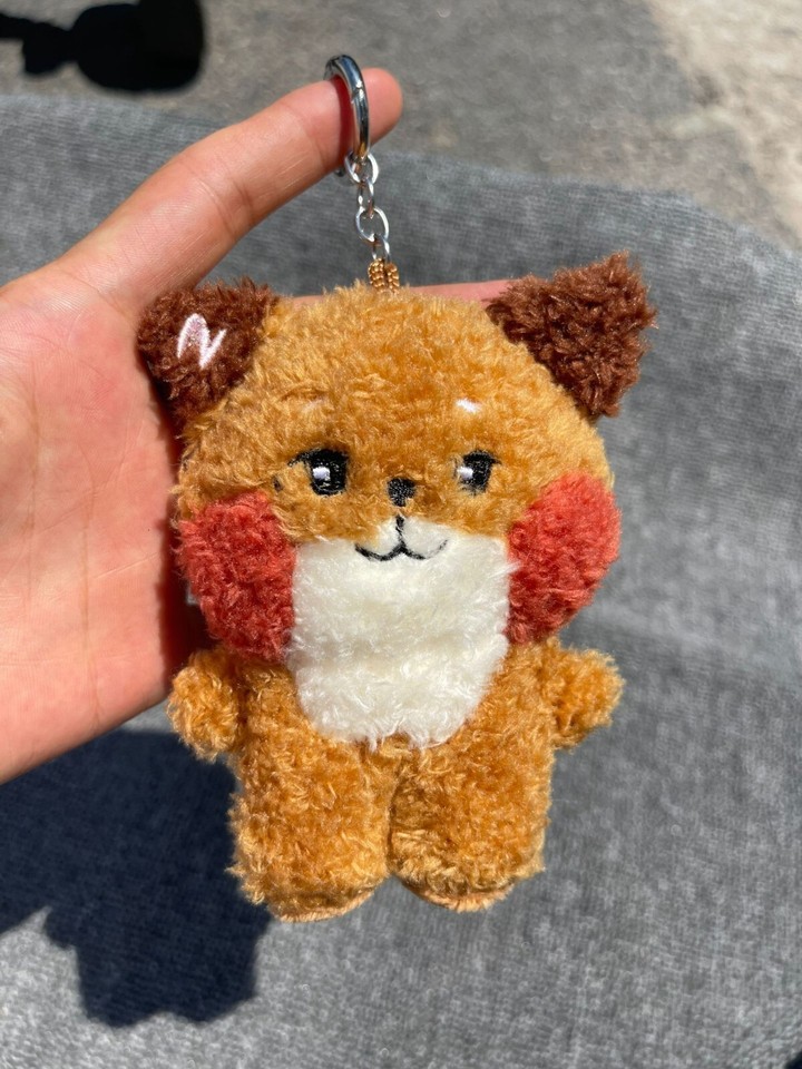 ZB1 SUNG HAN BIN Cartoon Doll Keychain ZEROBASEONE ZERONI MININI Plsuh ...