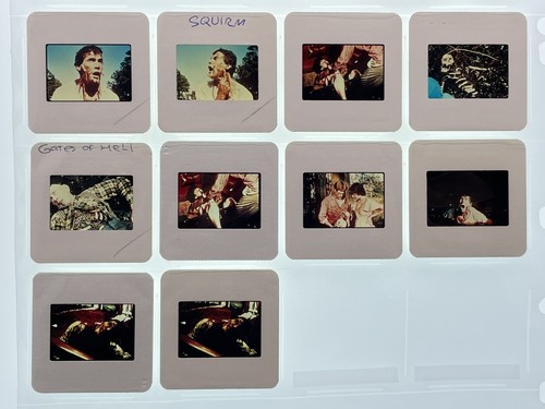 Squirm Horror Movie 35mm Slides Press Kit Promo Vtg Lot of 10 | eBay