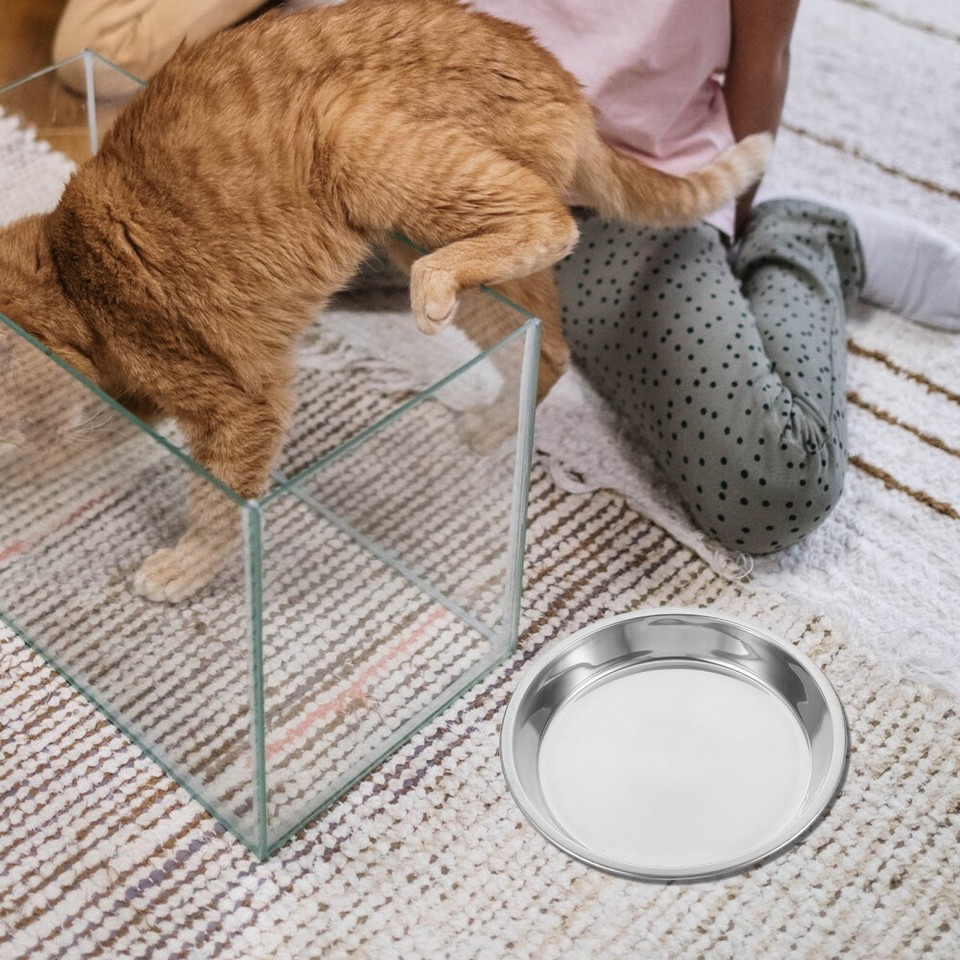 4 Pcs Shallow Water Bowl Cat Wear-resistant Kitten Multi-function | eBay