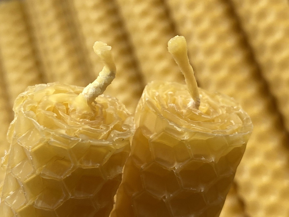 16 PIECES YELLOW PILLAR PURE BEESWAX CANDLES 20.5 cm SPELL ALTAR RITUAL ...