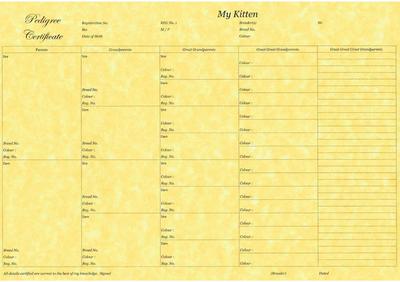 5 Generation Pedigree form Certificate Print on Quality Paper Kitten ...