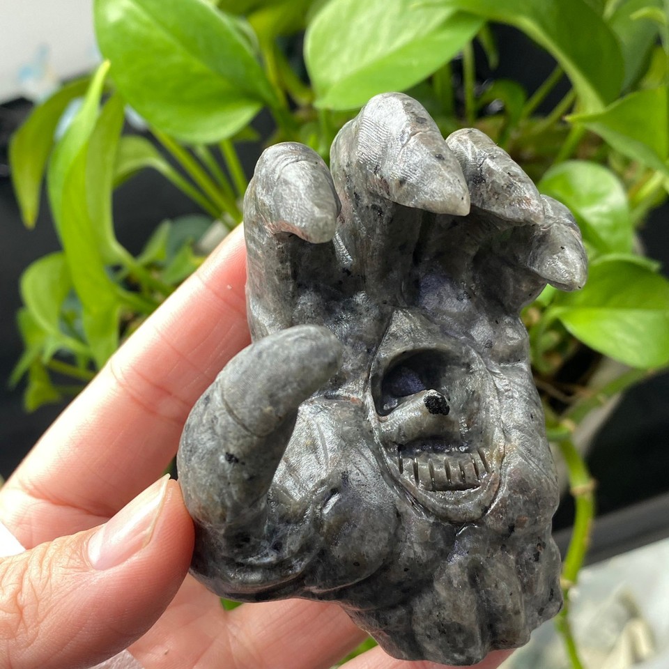 2.8" Natural Flame stone quartz hand-carved Magic hand crystal reiki ...