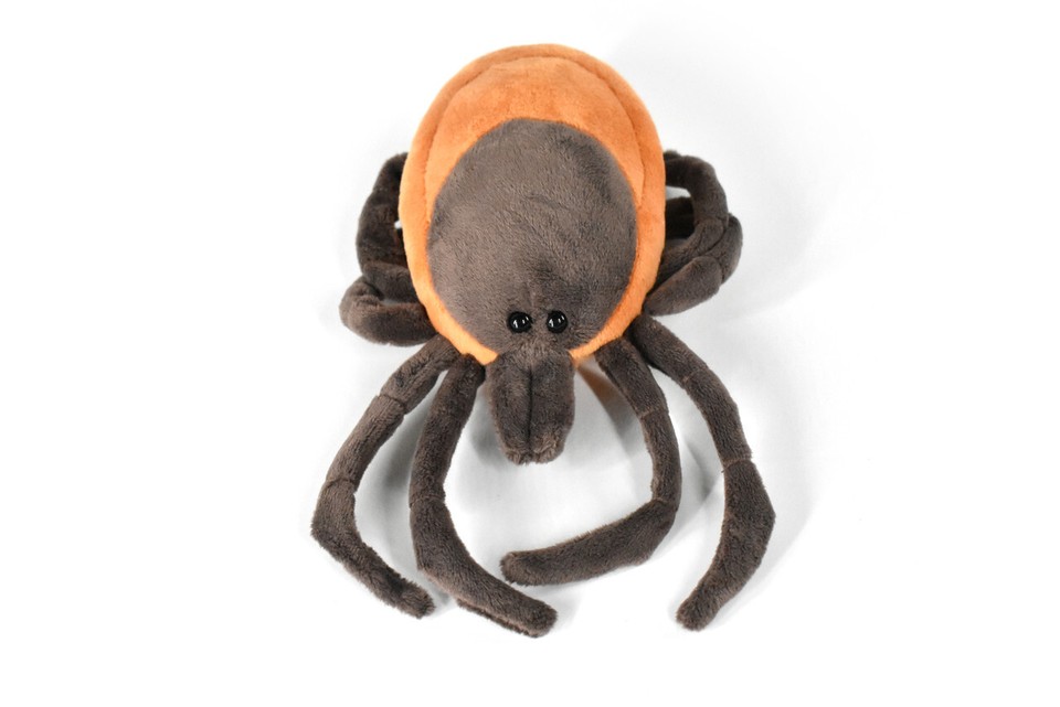Toy Tick Plushy, Stuffed Animal, Plush Insect Bug, Educational, 7 ...