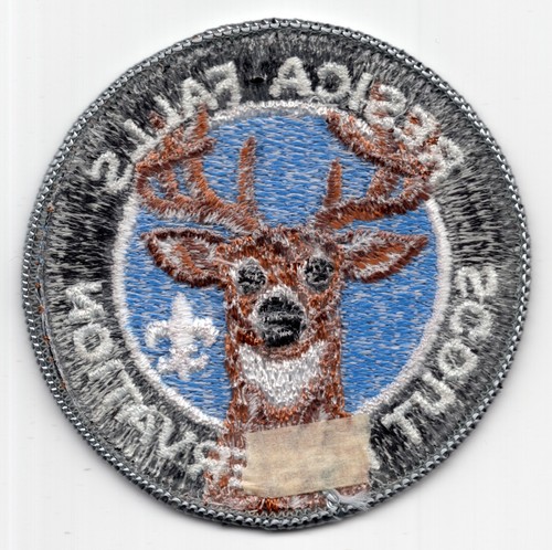 Patch Resica Falls Scout Res c1990 PA Buck Deer Cradle of Liberty ...
