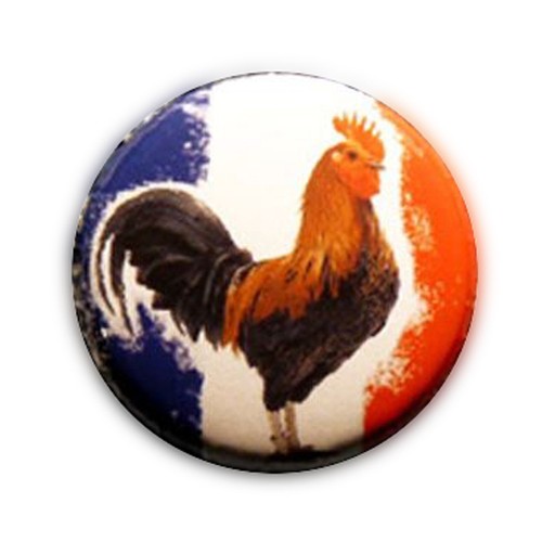 Badge rooster Gaulish flag FRANCE French rugby football basketball hand ...