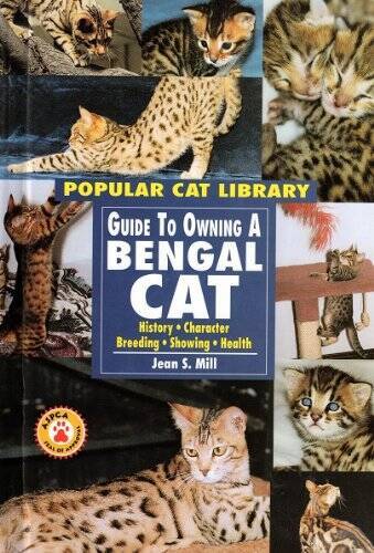 Guide to Owning a Bengal Cat (Popular Cat Library Series) - ACCEPTABLE ...