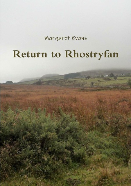 Return to Rhostryfan von Margaret Evans (2017, Taschenbuch) online ...