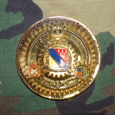 Original 702nd Brigade Support Bn OEF 2013 Challenge Coin for ...