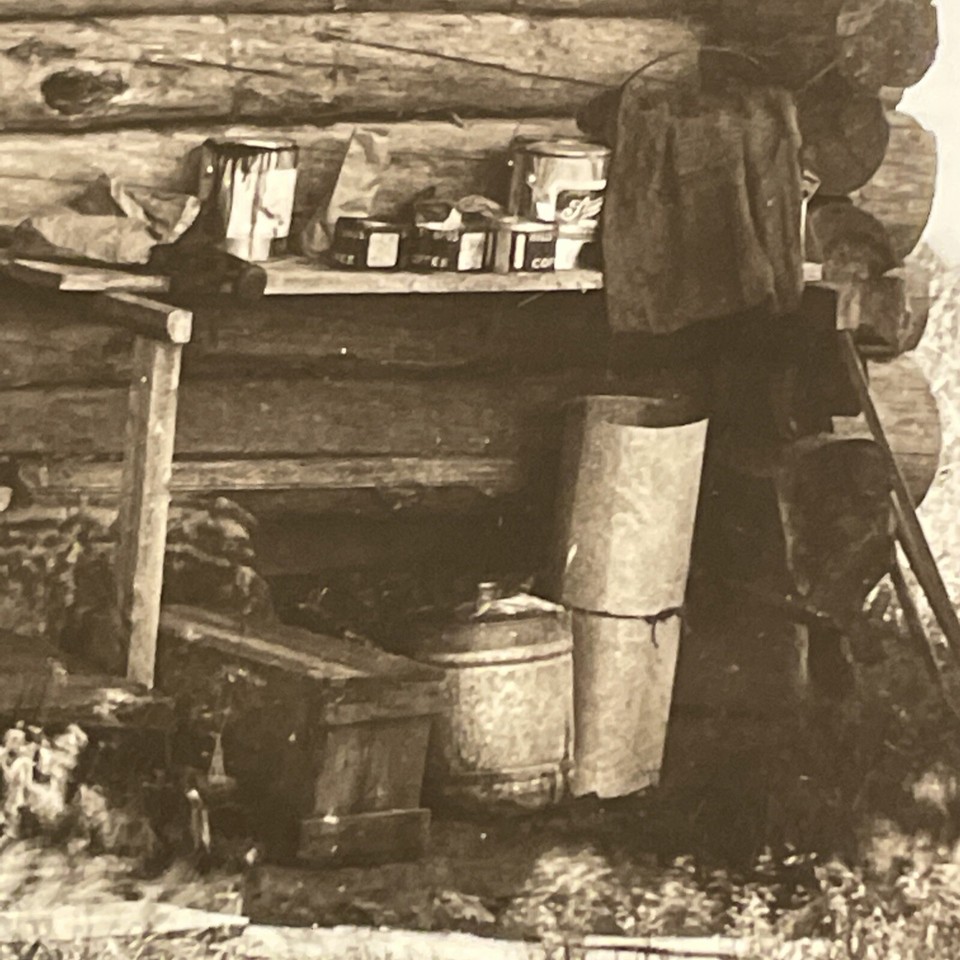 Frederic WI Log Cabin on Trade Lake Real Photo Postcard Wisconsin RPPC ...