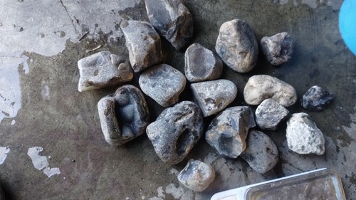 montana moss agate rough Lapidary Cabbing Slab Jewelry Pendant | eBay