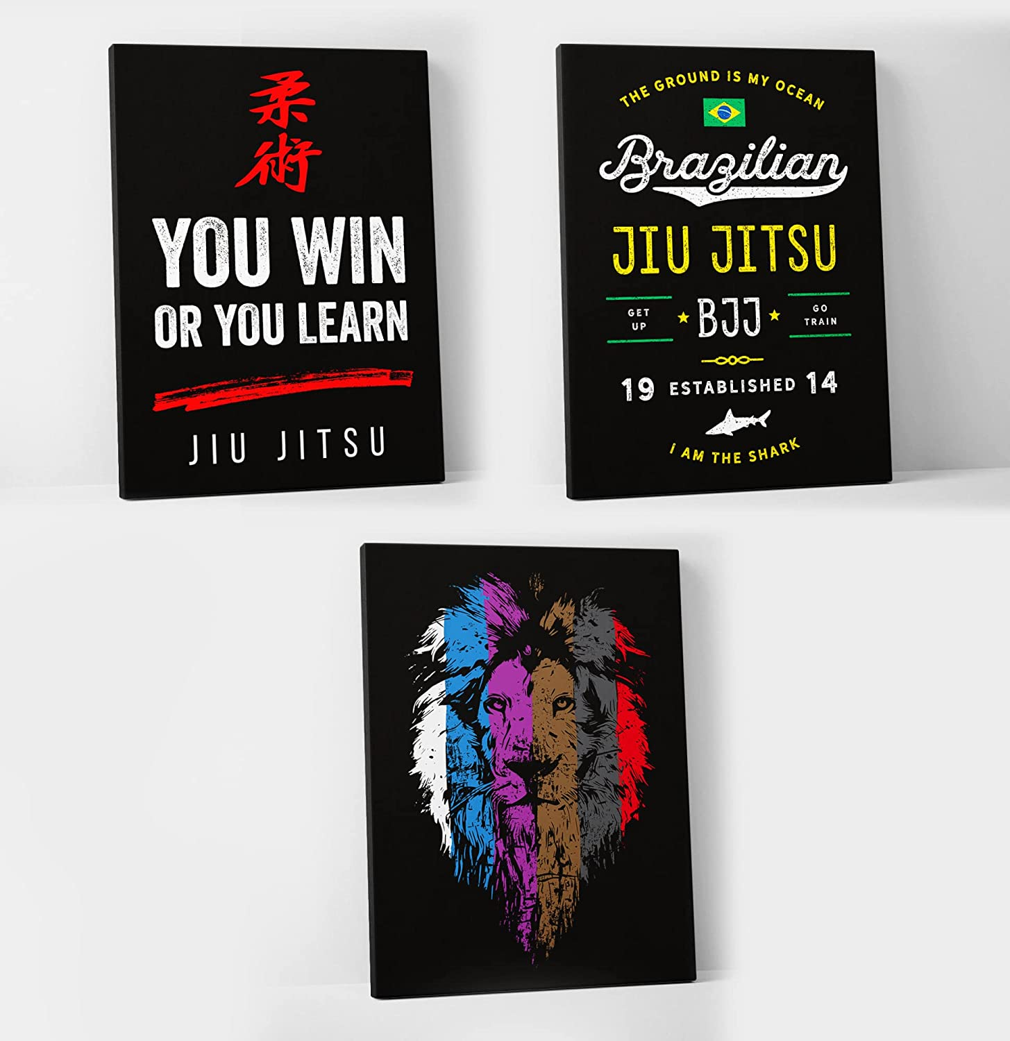Jiu Jitsu Canvas - Set of 3 - BJJ Wall Art Color - Brazilian (32 X 48 ...