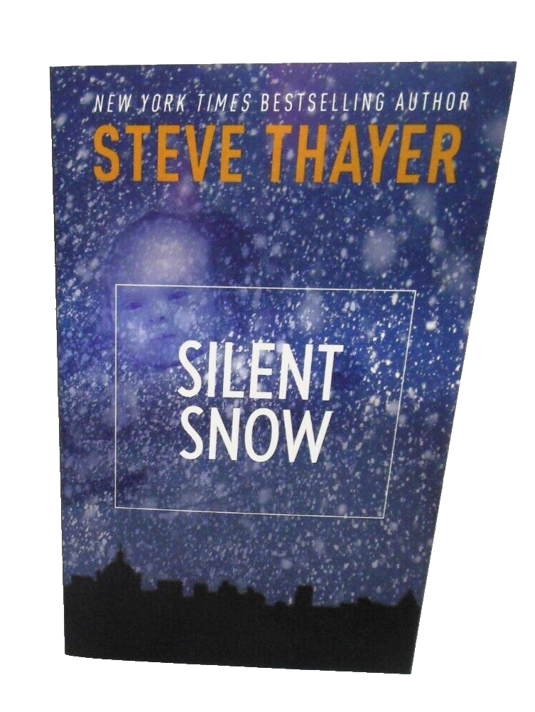 Silent Snow by Steve Thayer Historical Fiction Tie In Lindbergh Baby ...