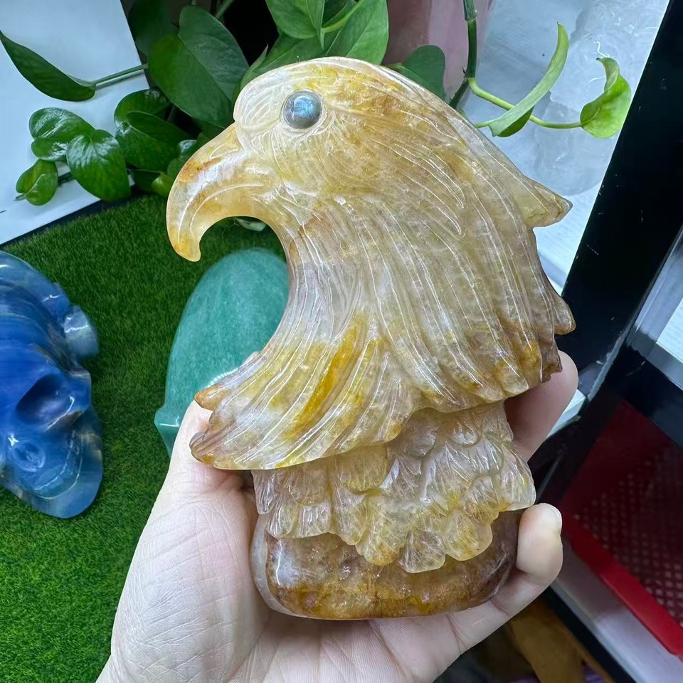 1.5LB Natural Yellow glue flower Quartz Crystal Carved Eagle Skull ...