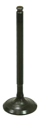Bronco Intake Valve #AU-09209I | eBay