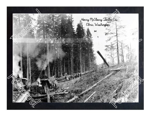 Historic Henry McCleary Timber Co. - Elma, Washington Train Postcard 1 ...
