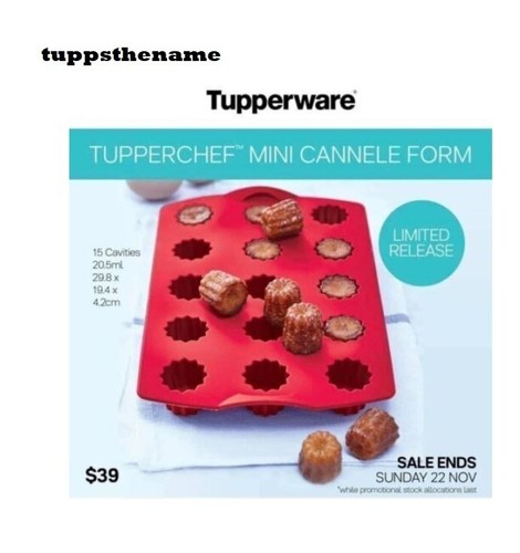 NEW Tupperware Mini Cannele Silicone Baking Form Mini Cakes Chocolate ...