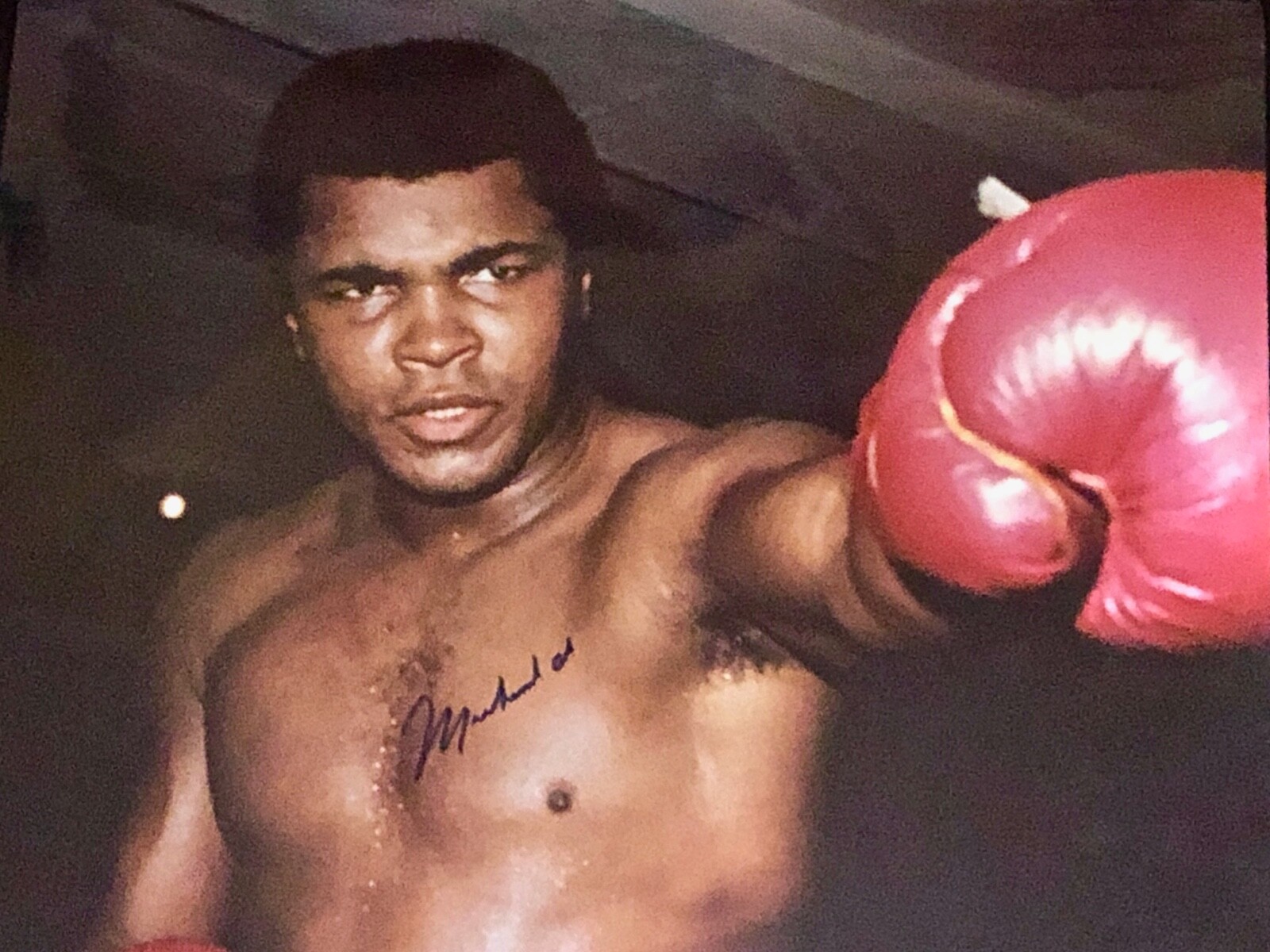 MUHAMMAD ALI HAND SIGNED 16 X 20 "LEFT JAB POSE" COLOR PHOTO | eBay