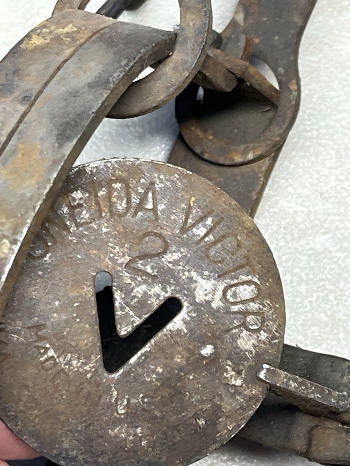 Vintage lot/pair Oneida Victor No. 2 Double Long Spring Trap | eBay