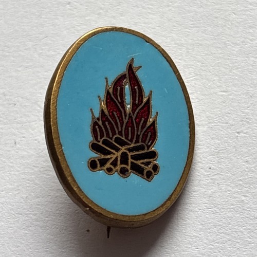 Girl Guide Metal Badge. Campfire Leader. | eBay UK