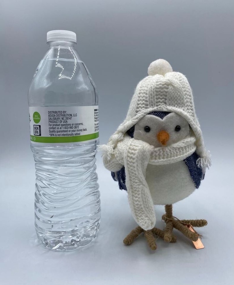 Wondershop Target Featherly Friends CLIPPER 2016 Winter Bird Figurine ...